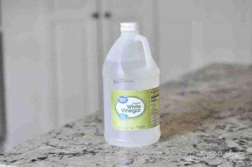 The Best 15 Mopping Cleaner Solutions | LL Home