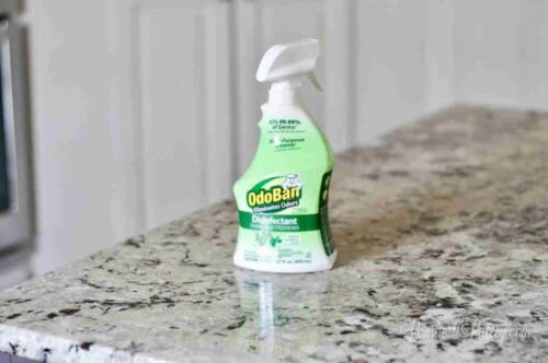 The Best 15 Mopping Cleaner Solutions | LL Home