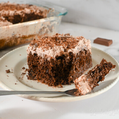 Easy Chocolate Tres Leches Cake (with Boxed Cake Mix) | LL Eats