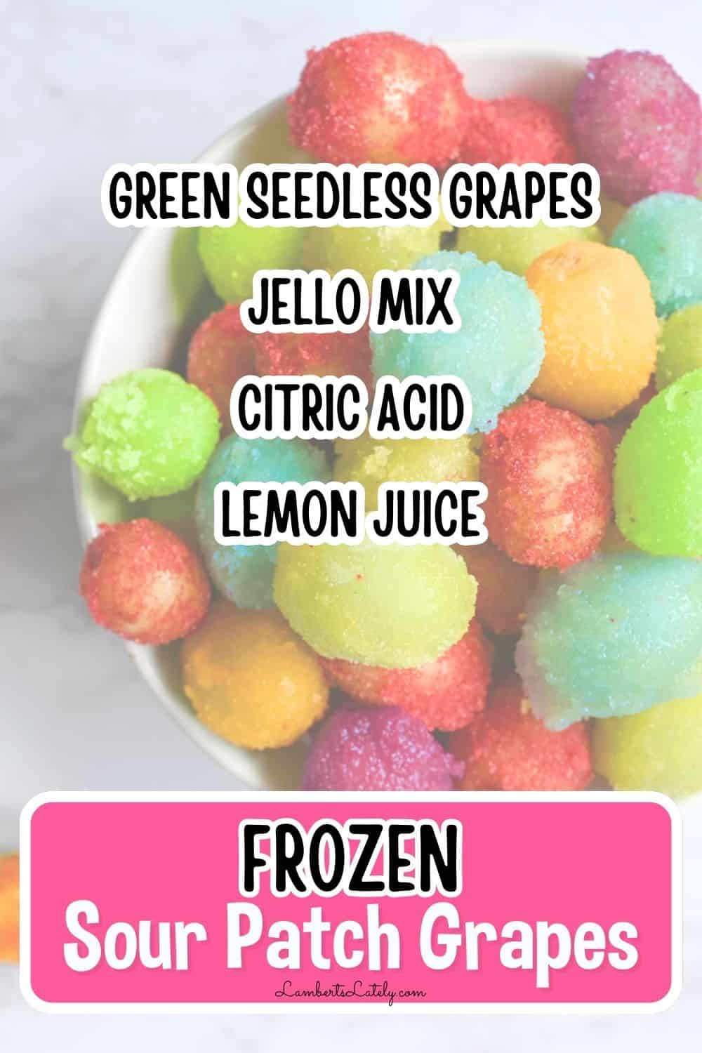 Candied Frozen Sour Grapes | LL Eats